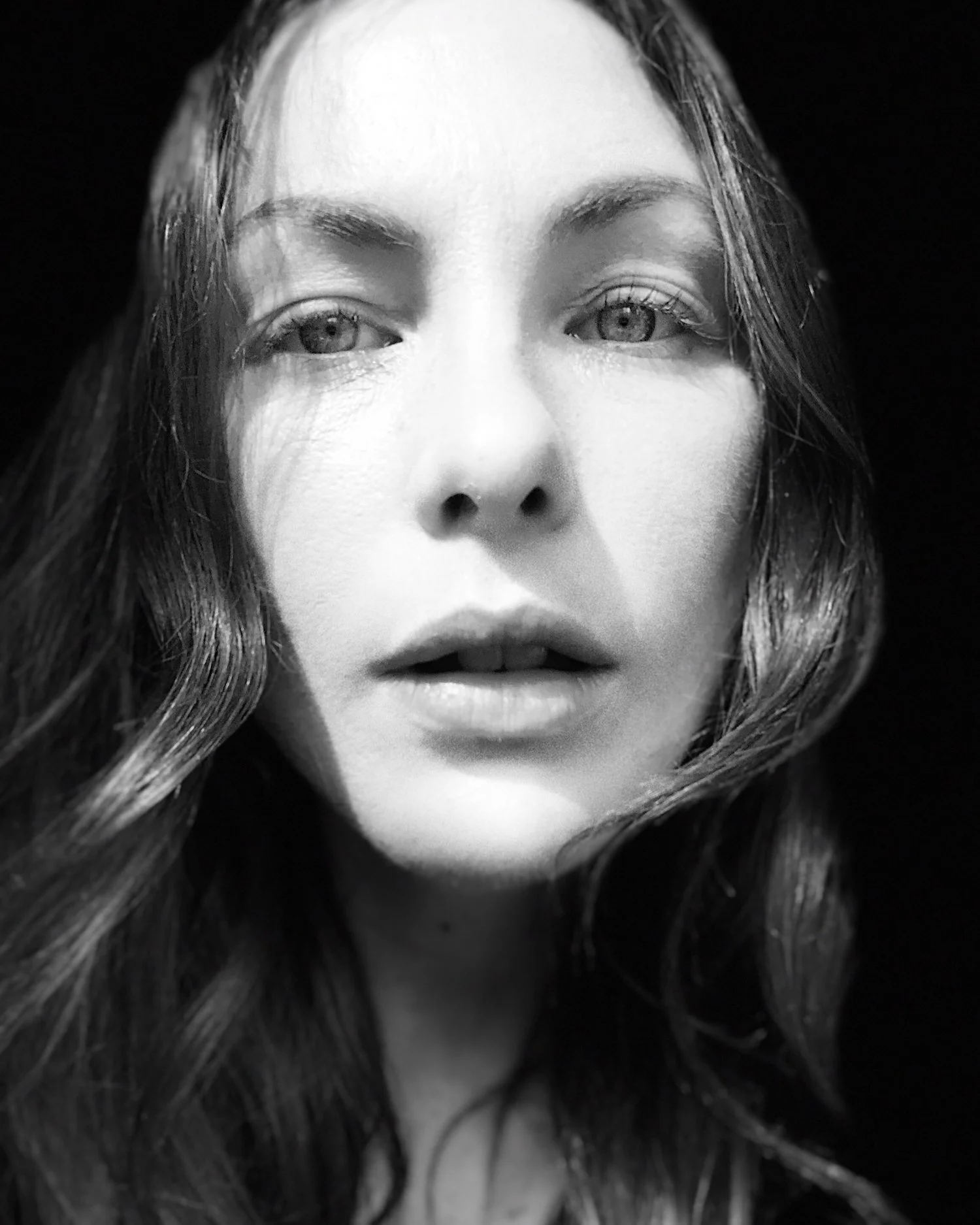 Discover — Rebecca Rebouché