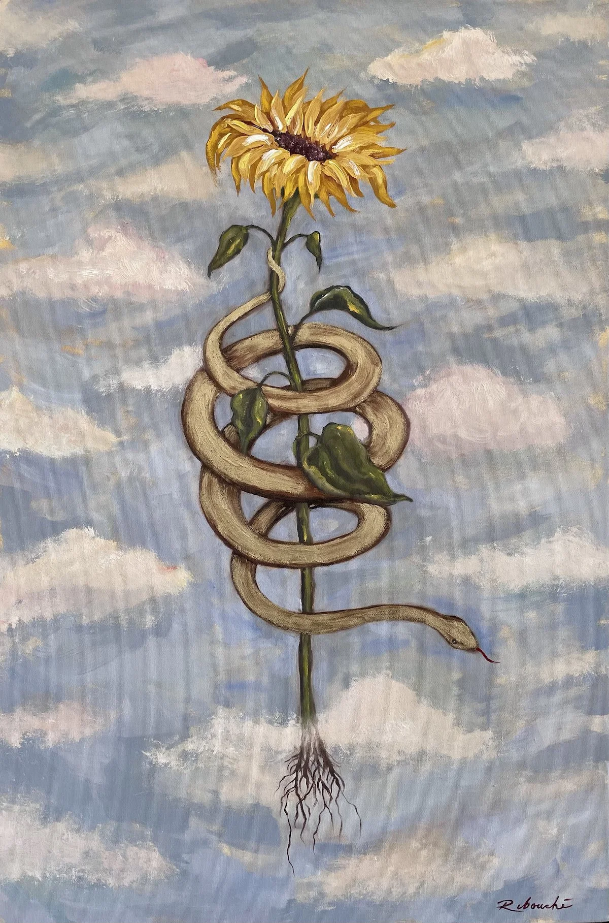 Awaken the Dreamer — Rebecca Rebouché