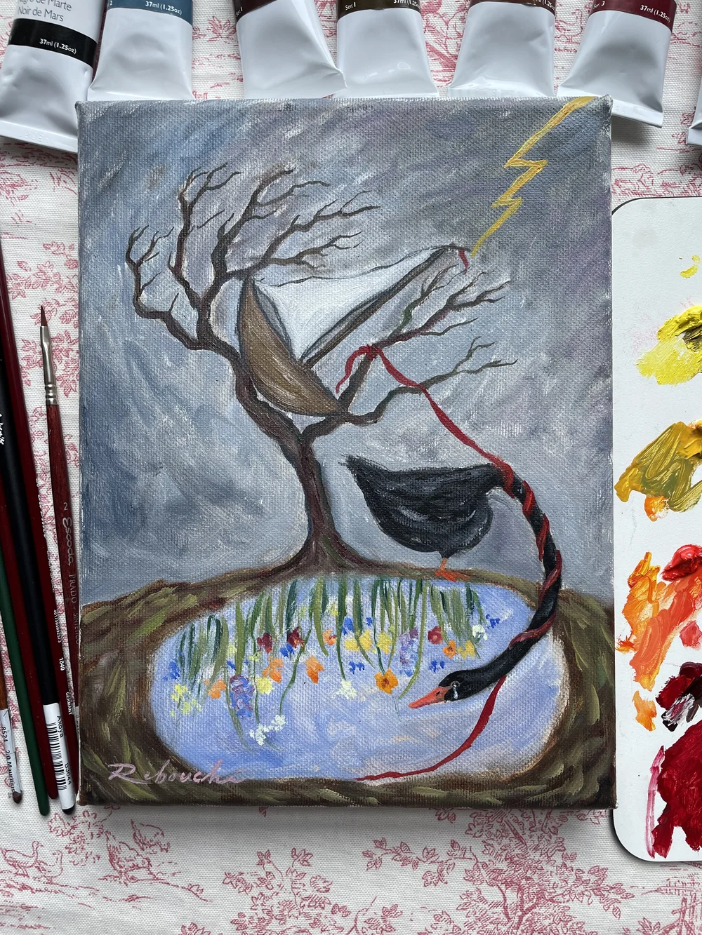 Discover — Rebecca Rebouché