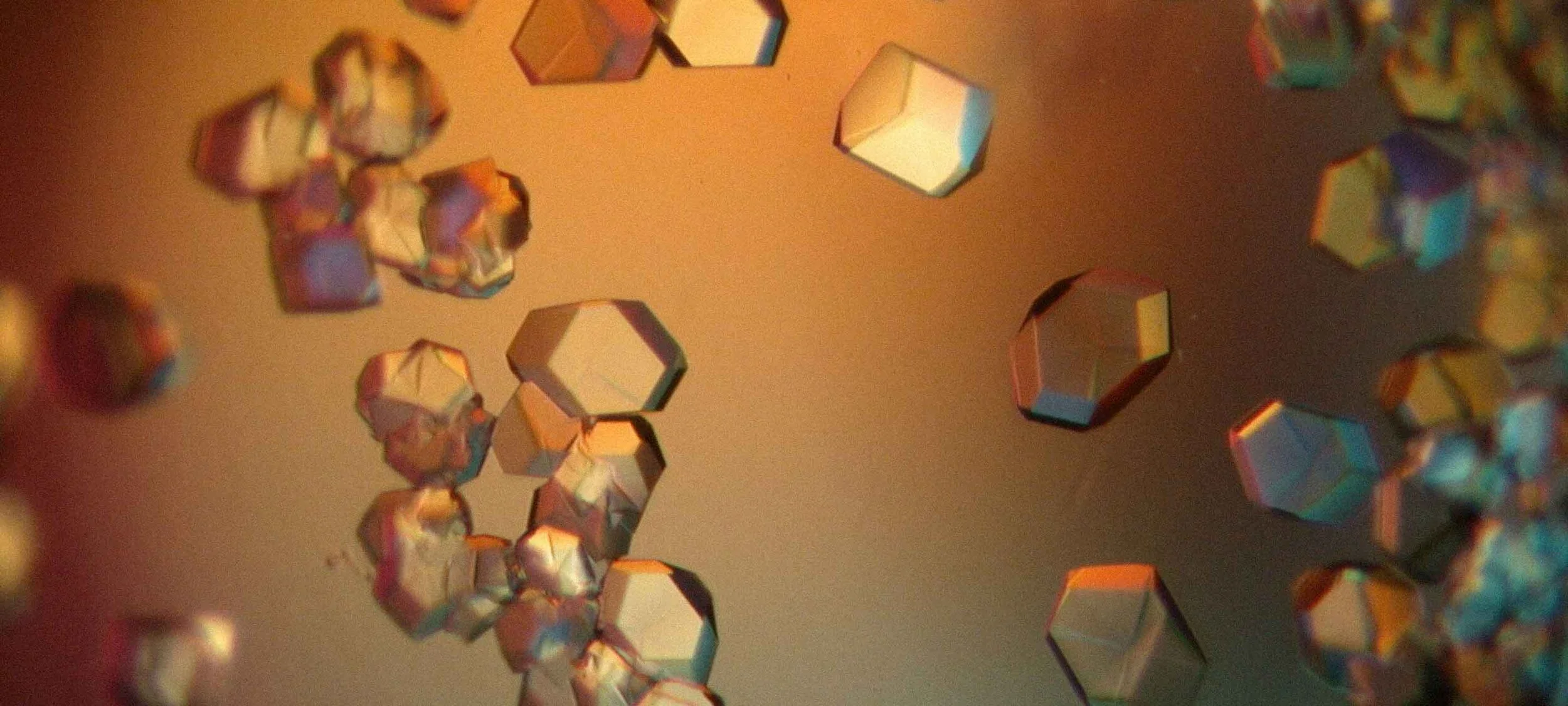 Accelerating Drug Discovery | Helix BioStructures