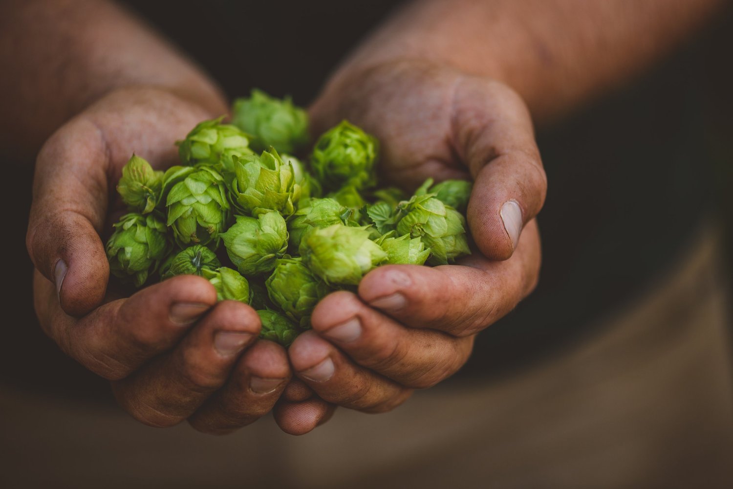 Events — Hopculture