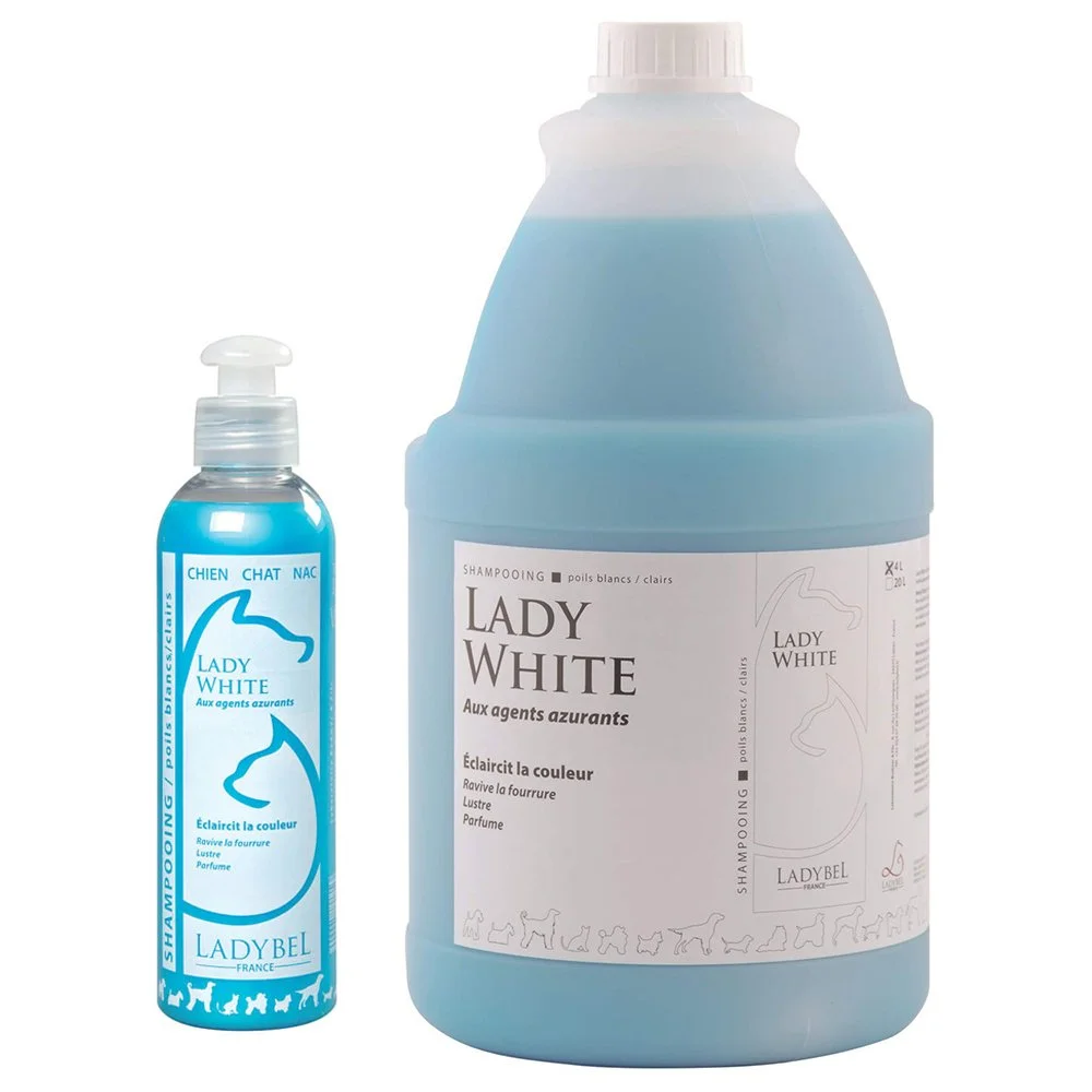 Shop | Canine Design Academy