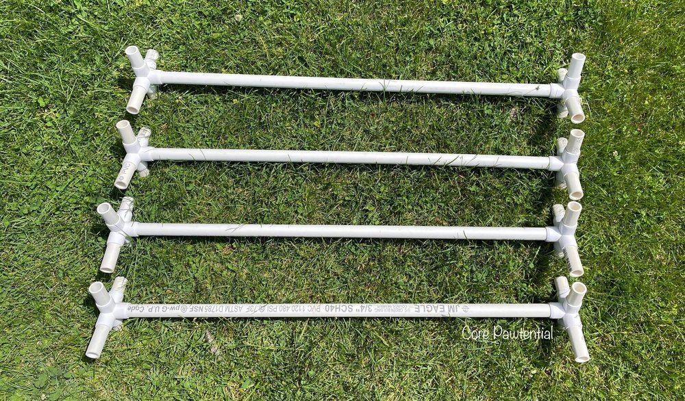 Core Pawtential | DIY adjustable height PVC cavaletti