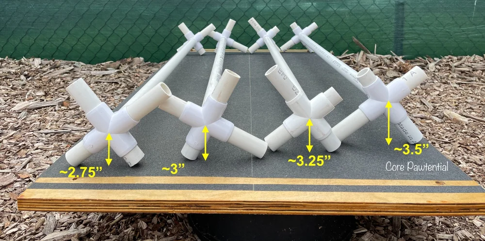 Core Pawtential | DIY adjustable height PVC cavaletti