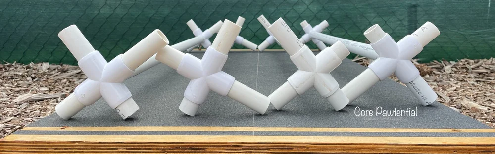 Core Pawtential | DIY adjustable height PVC cavaletti