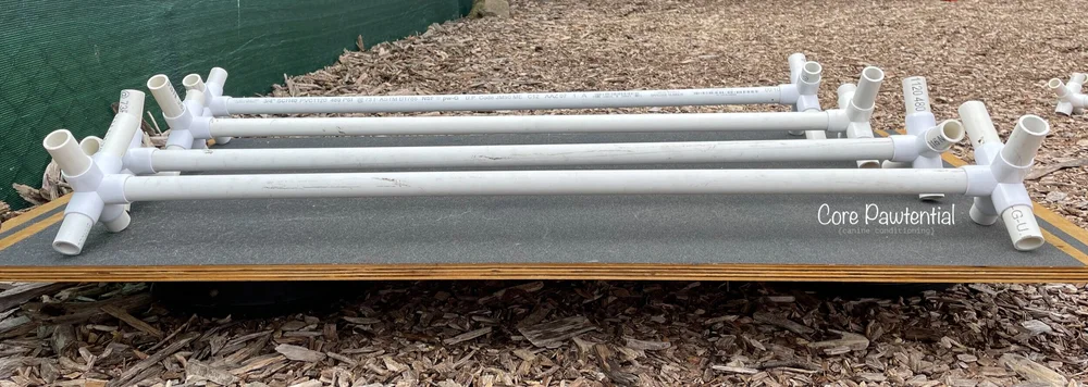 Core Pawtential | DIY adjustable height PVC cavaletti