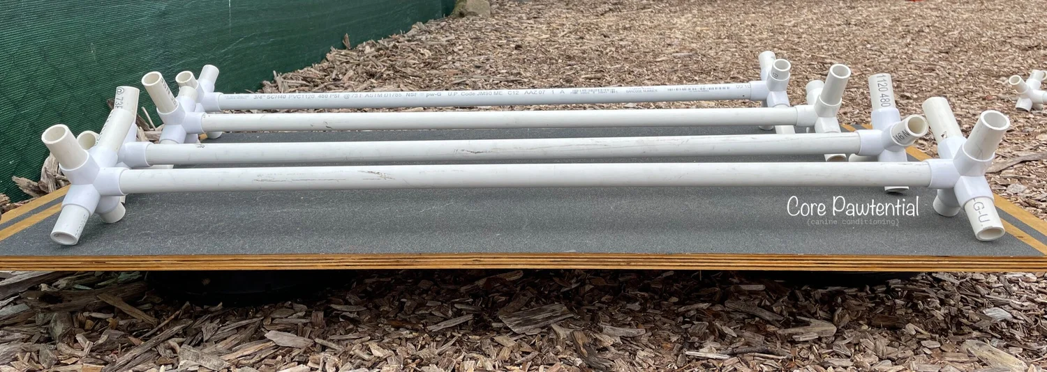Core Pawtential | DIY adjustable height PVC cavaletti