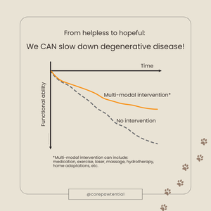 Core Pawtential | Degenerative Disease: There IS something we can do ...