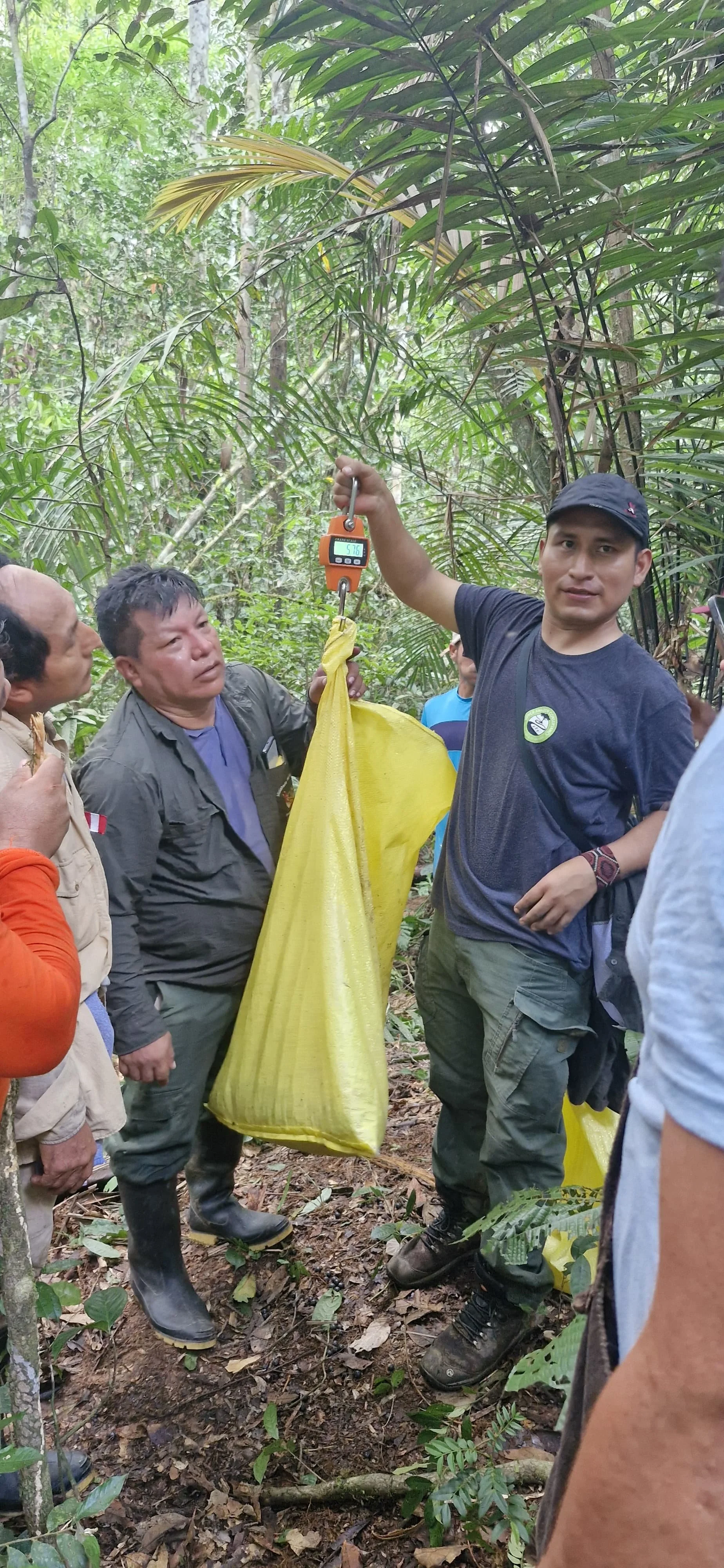 La Comunidad Amahuaca Santa Rosa apuesta por el huasaí: hacia un manejo ...