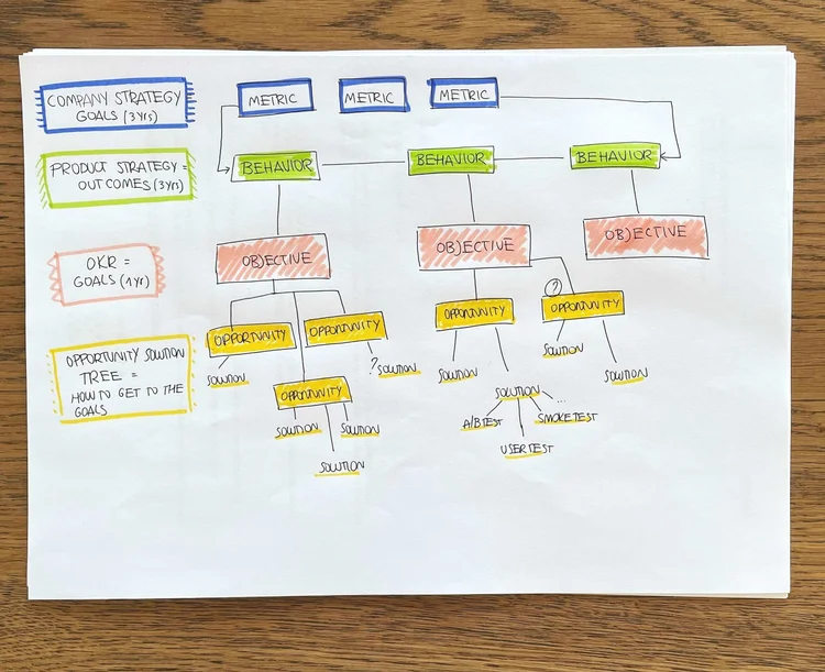 Francesca Cortesi — The importance of discovering solutions beyond ...