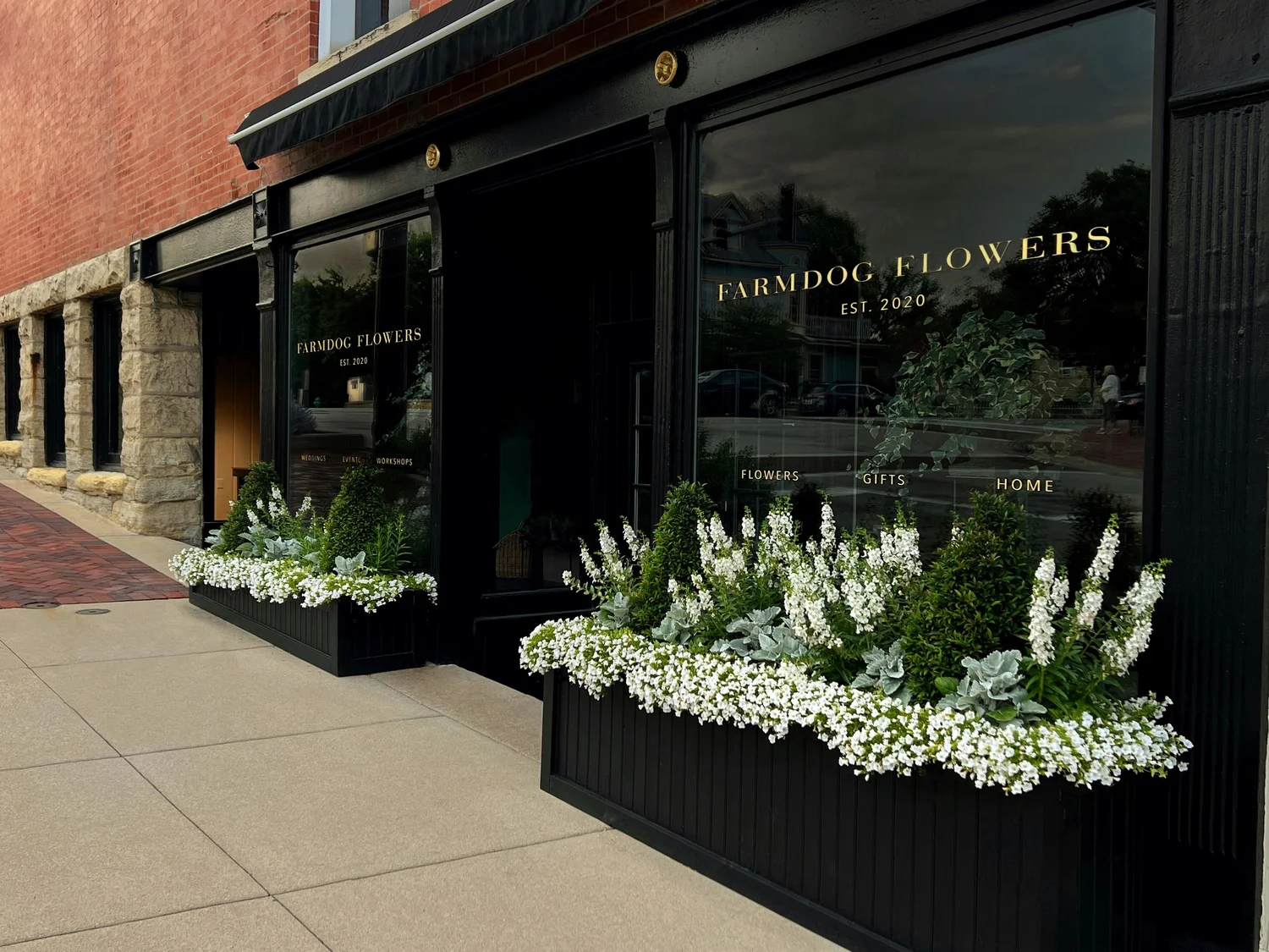 The Store — farmdog flowers