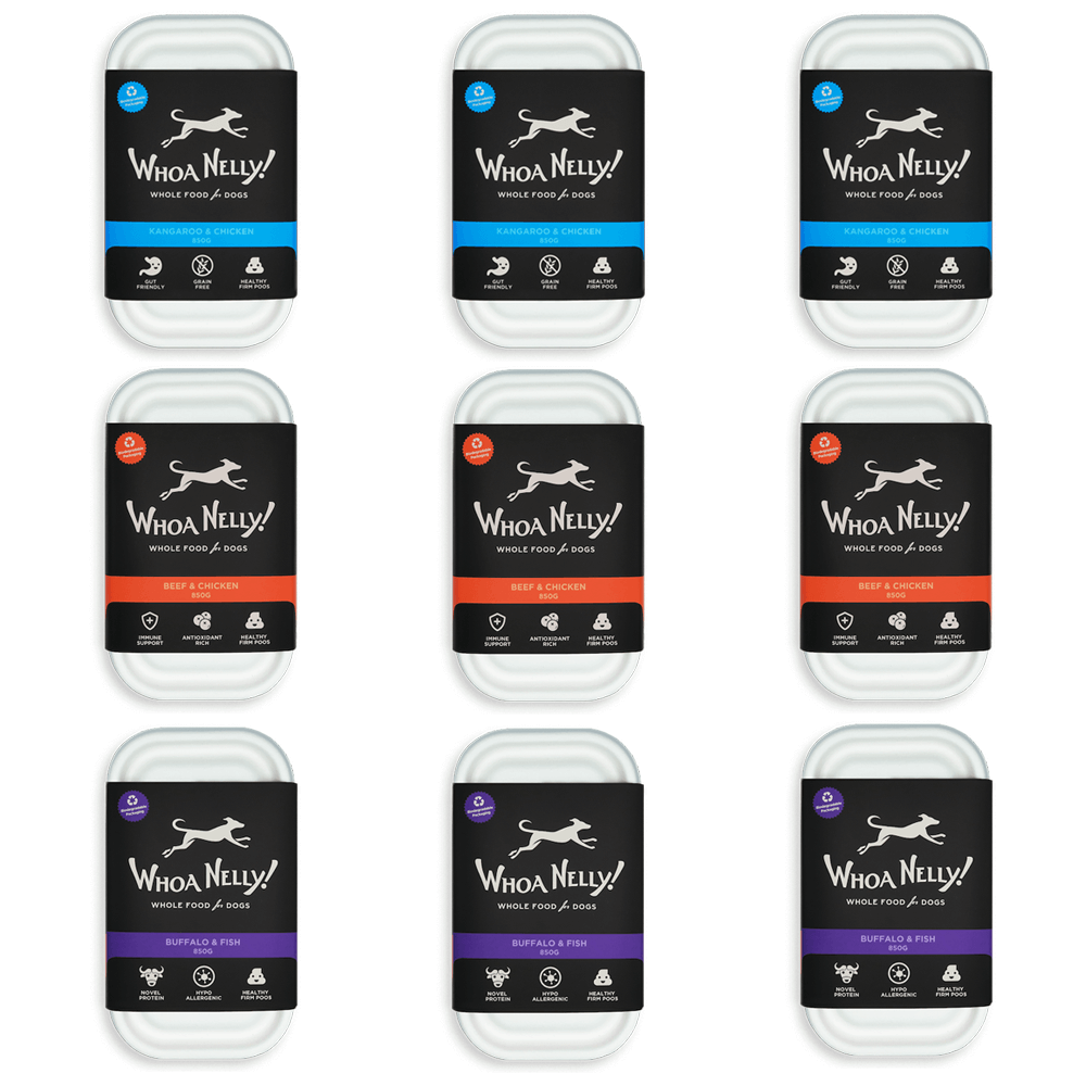 Dog Food - Variety 9 Pack — Whoa Nelly! Raw Dog Food
