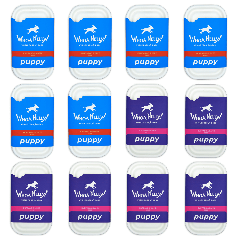 Puppy Food - Variety 12 Pack — Whoa Nelly! Raw Dog Food