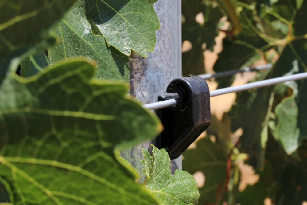 Eco Trellis Posts | Sustainable Vineyard Trellising — Jim's Supply Co.