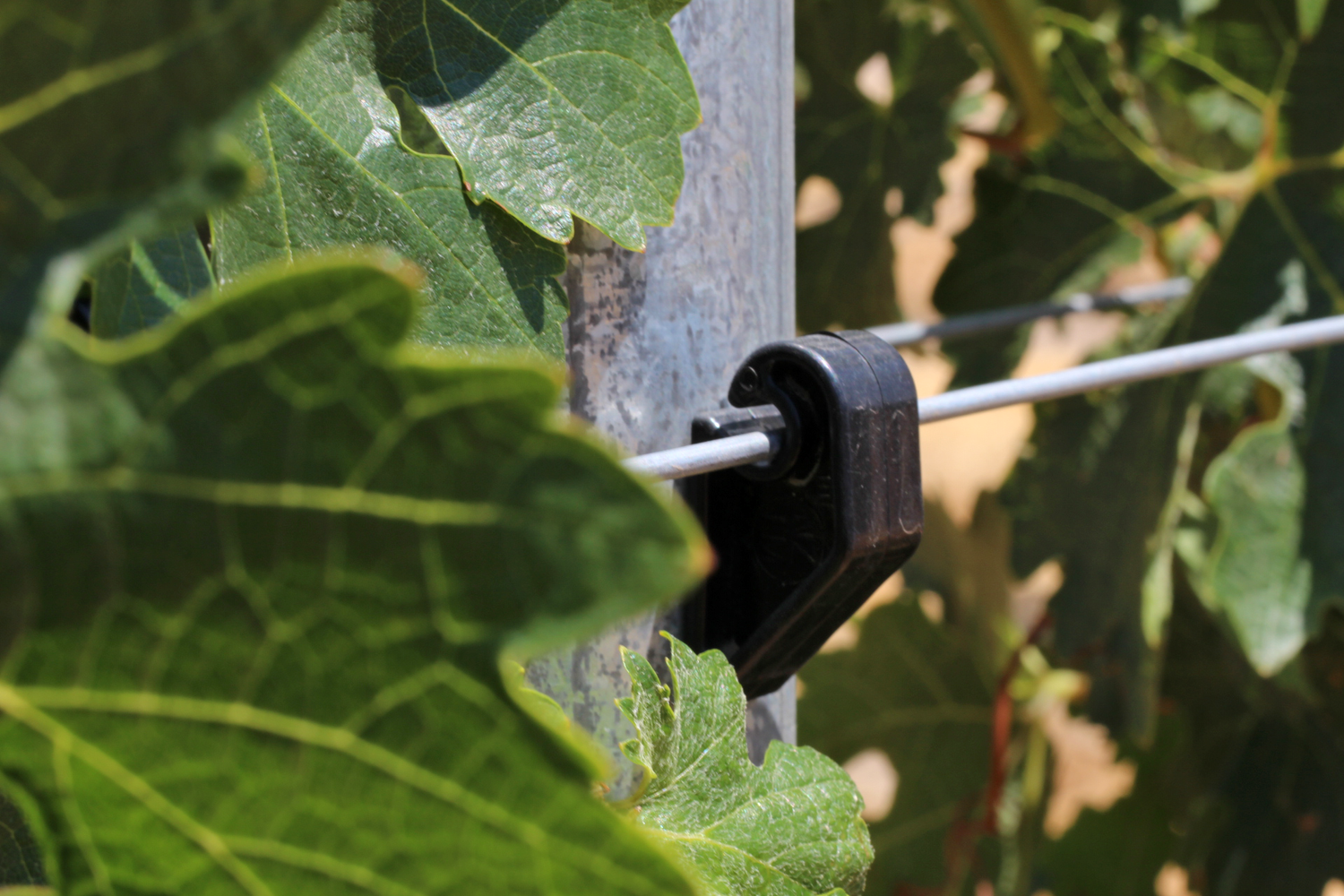 Eco Trellis Posts | Sustainable Vineyard Trellising — Jim's Supply Co.