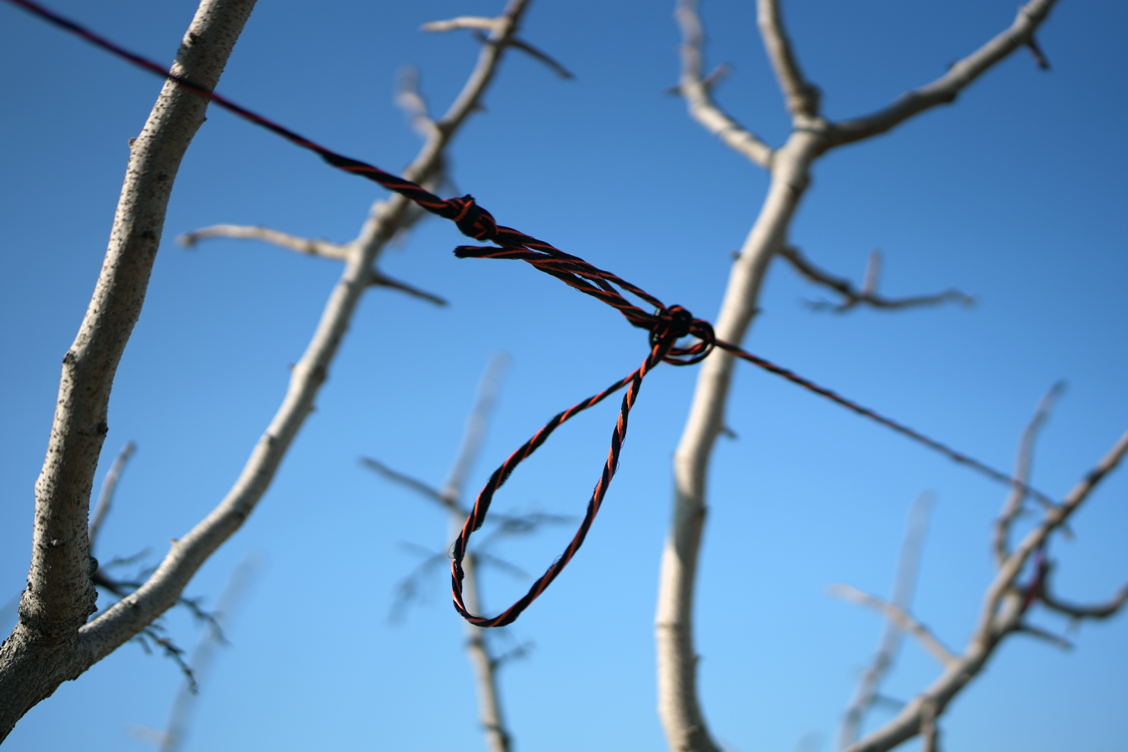 Black and Orange Poly Tree Rope for Orchard Management — Jim's Supply Co.