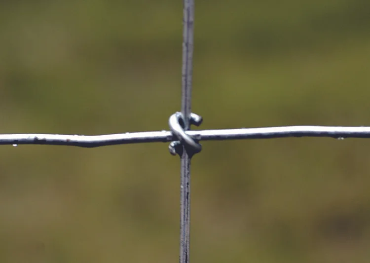 Animal Fencing Supplies | Protect Your Animals — Jim's Supply Co.