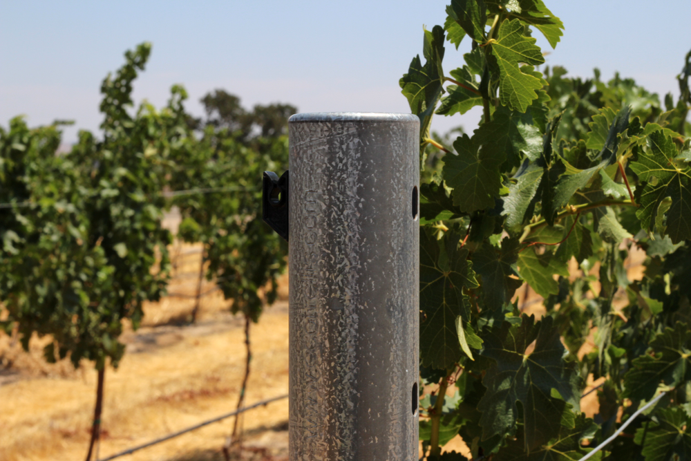 Eco Trellis Posts | Sustainable Vineyard Trellising — Jim's Supply Co.