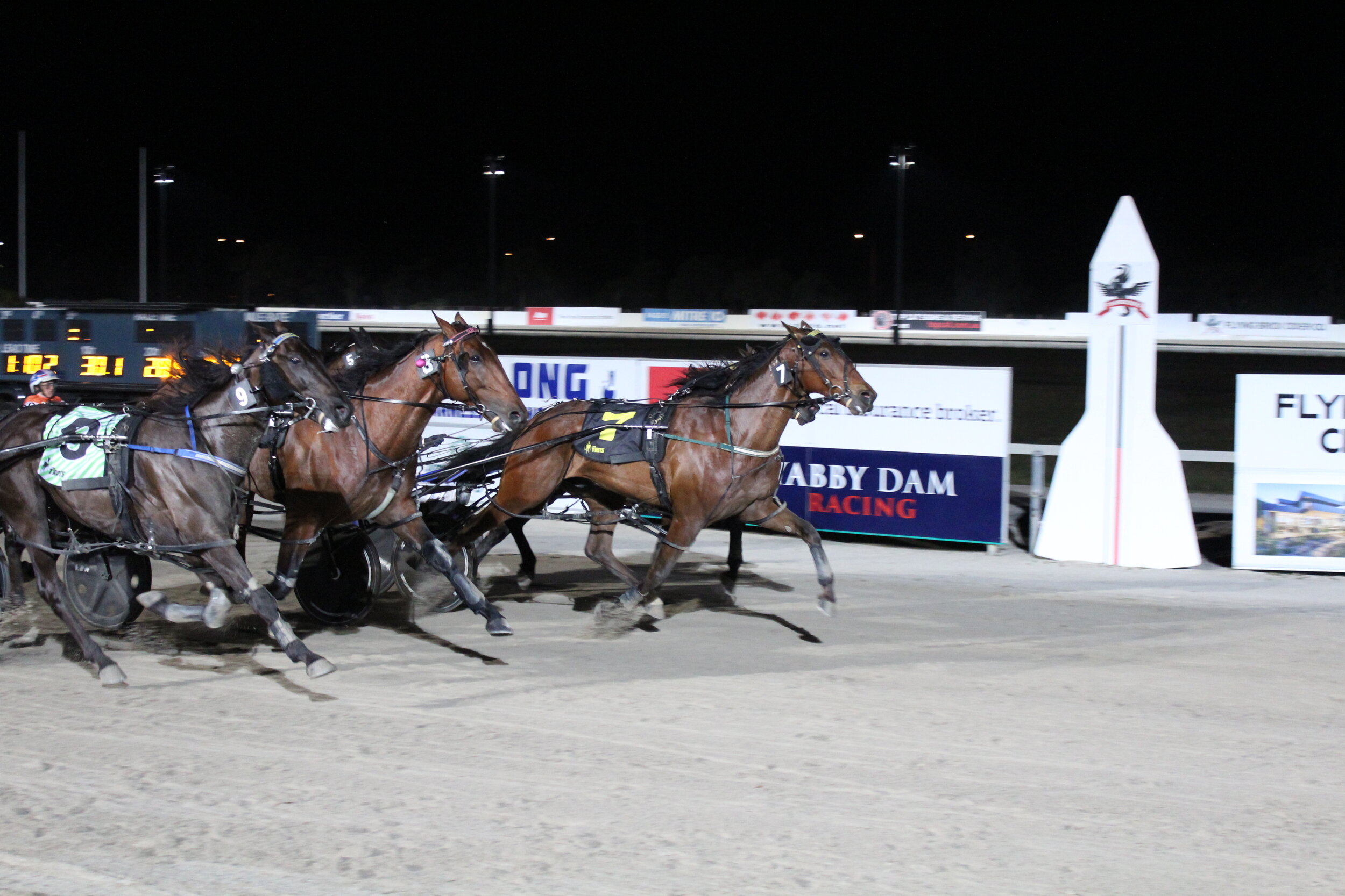Geelong Harness Racing Club