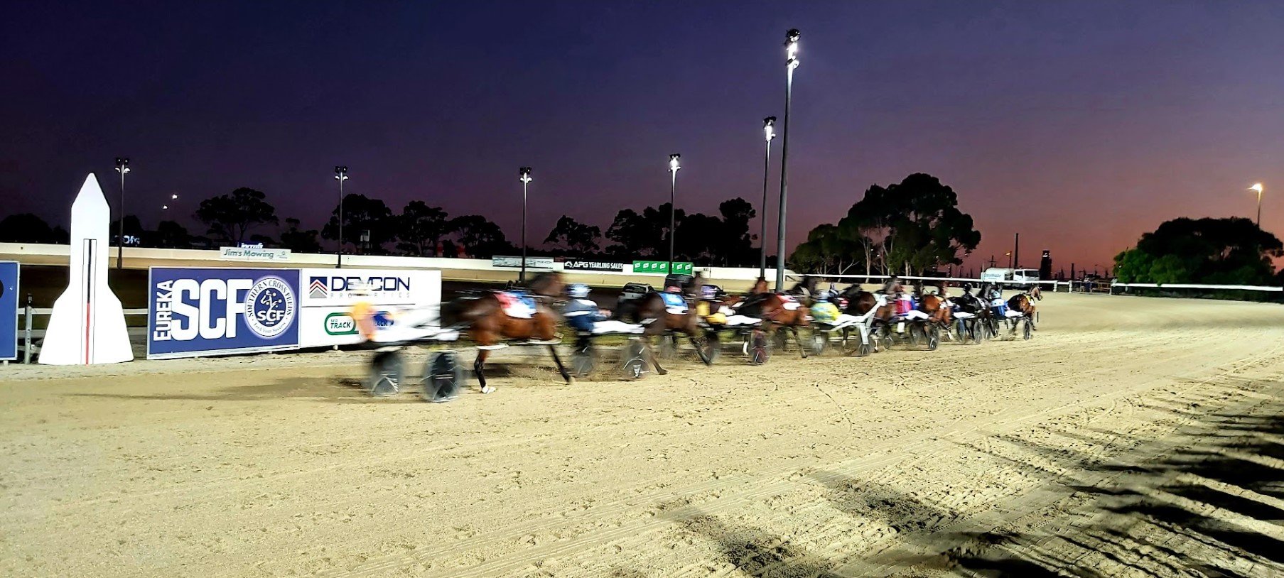 Geelong Harness Racing Club