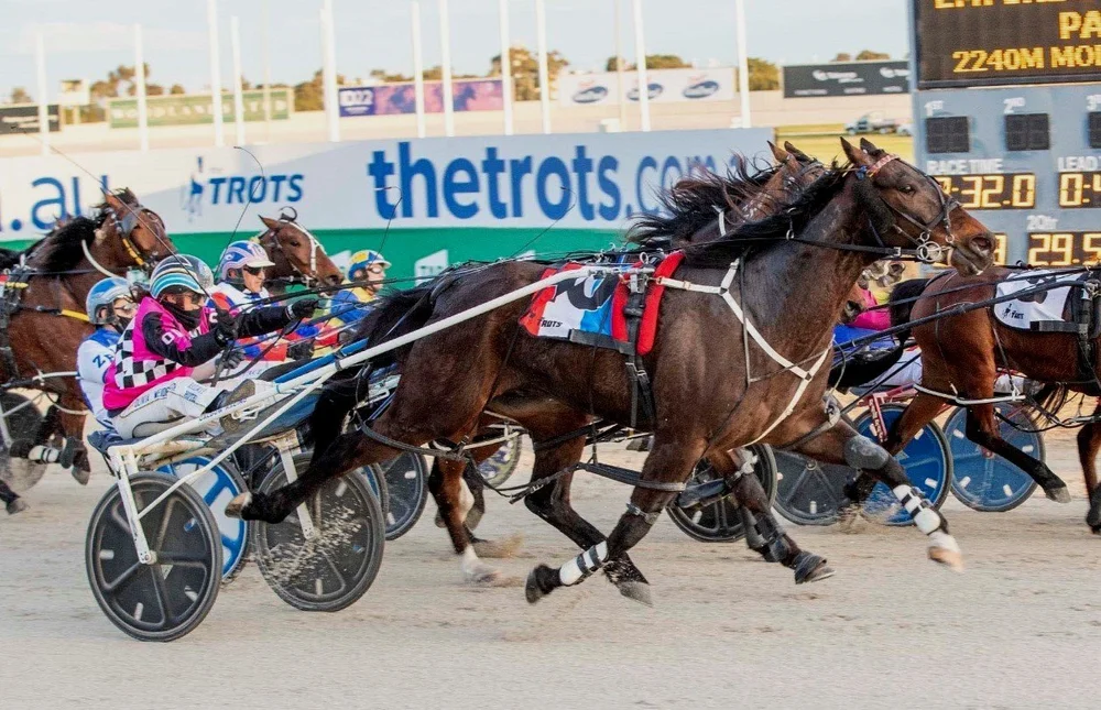 Racing — Geelong Harness Racing Club