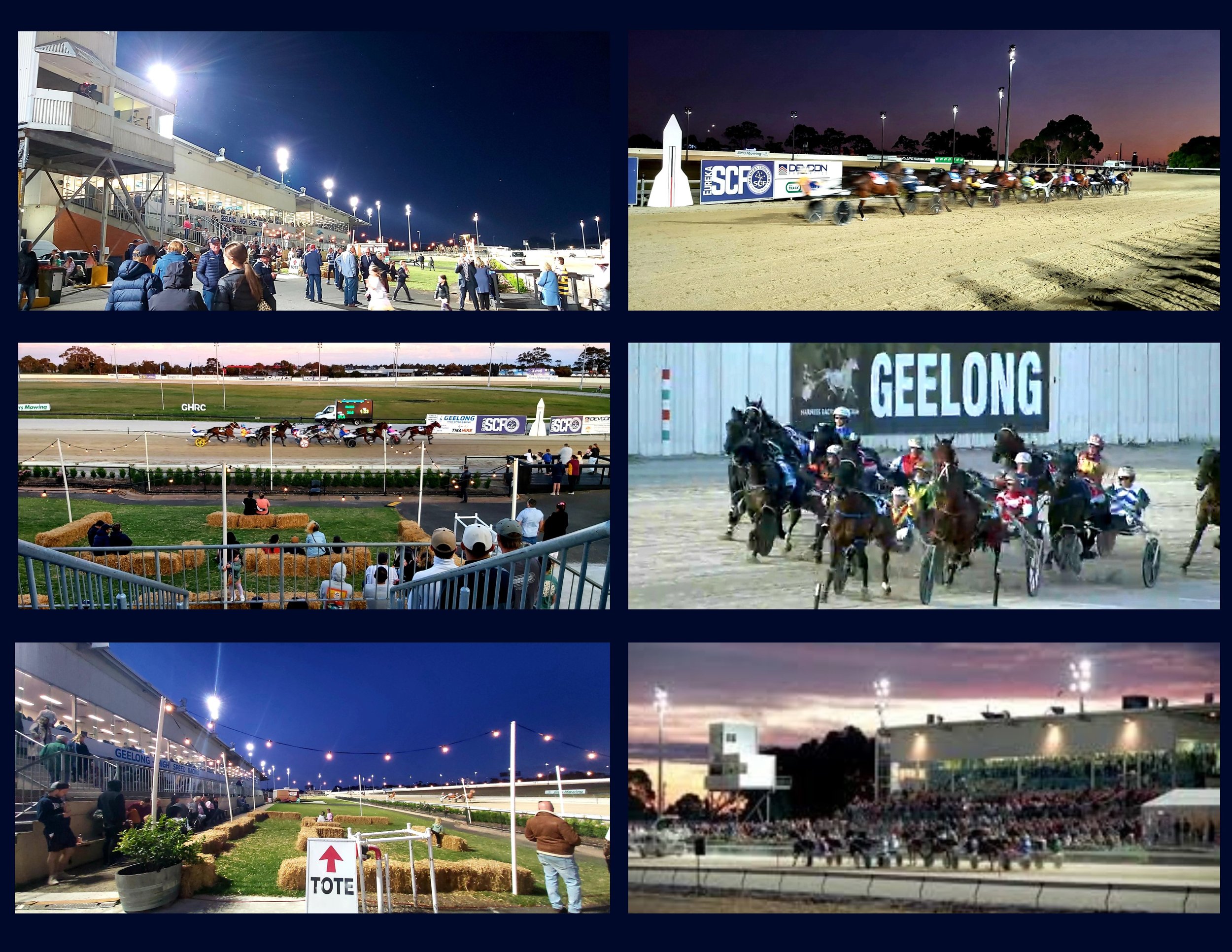 Geelong Harness Racing Club
