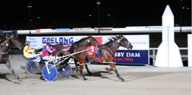 Geelong Harness Racing Club