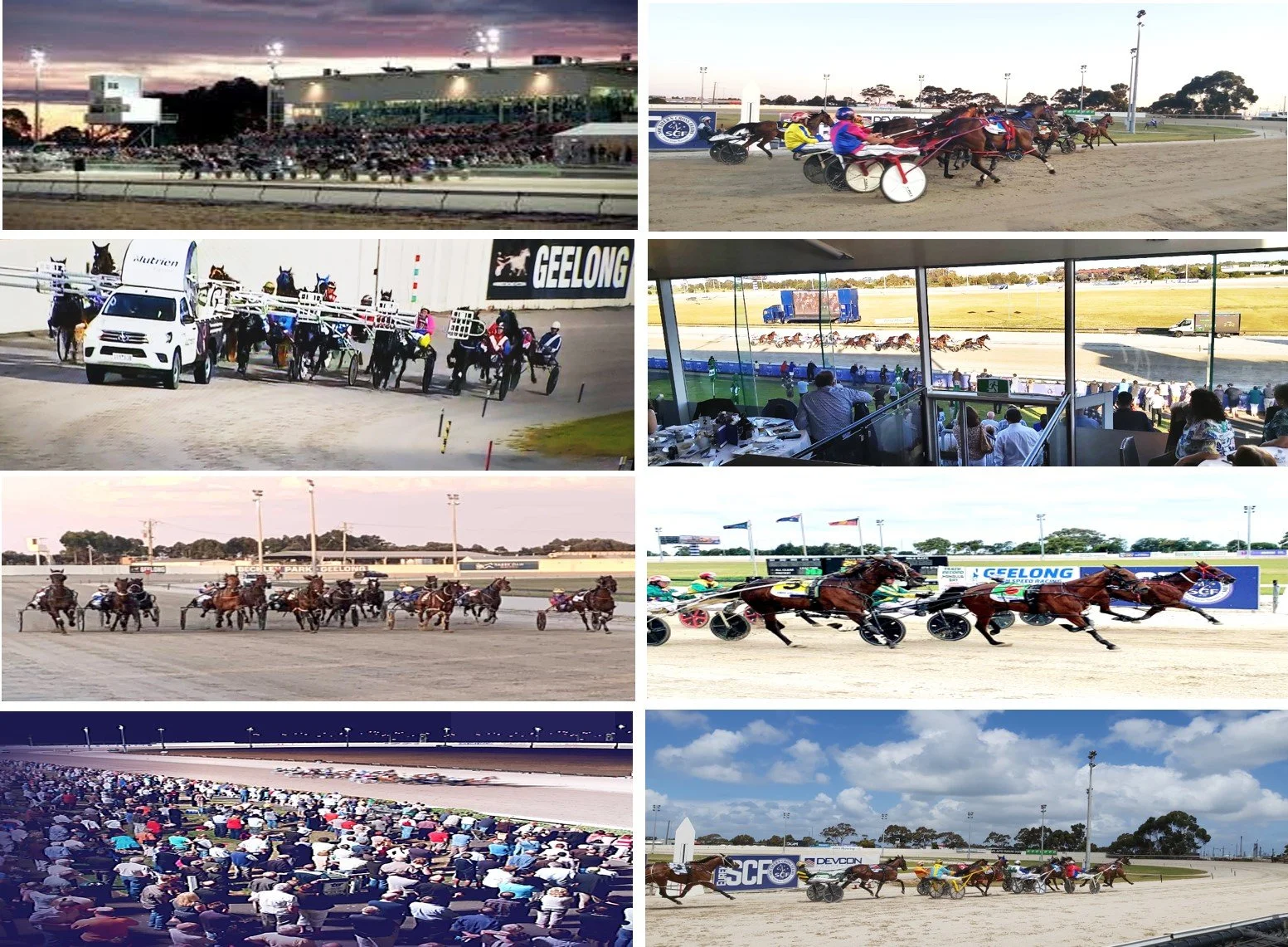 Geelong Harness Racing Club