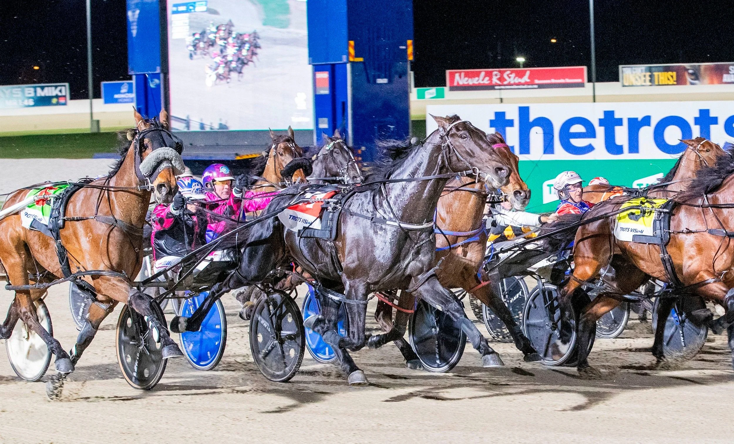 Membership — Geelong Harness Racing Club