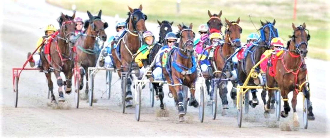 Geelong Harness Racing Club