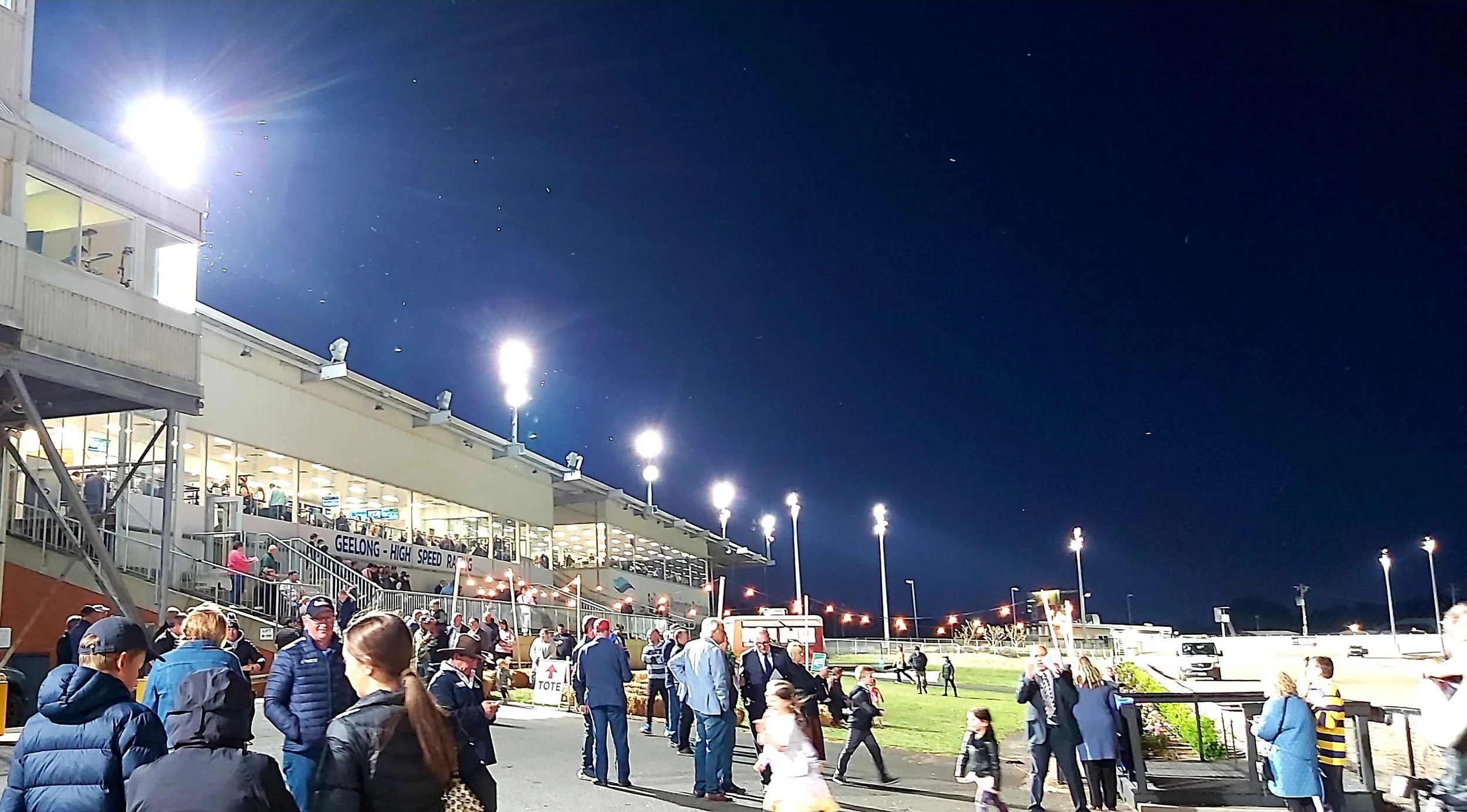 Geelong Harness Racing Club | Experience Racing Thrills - Join Now