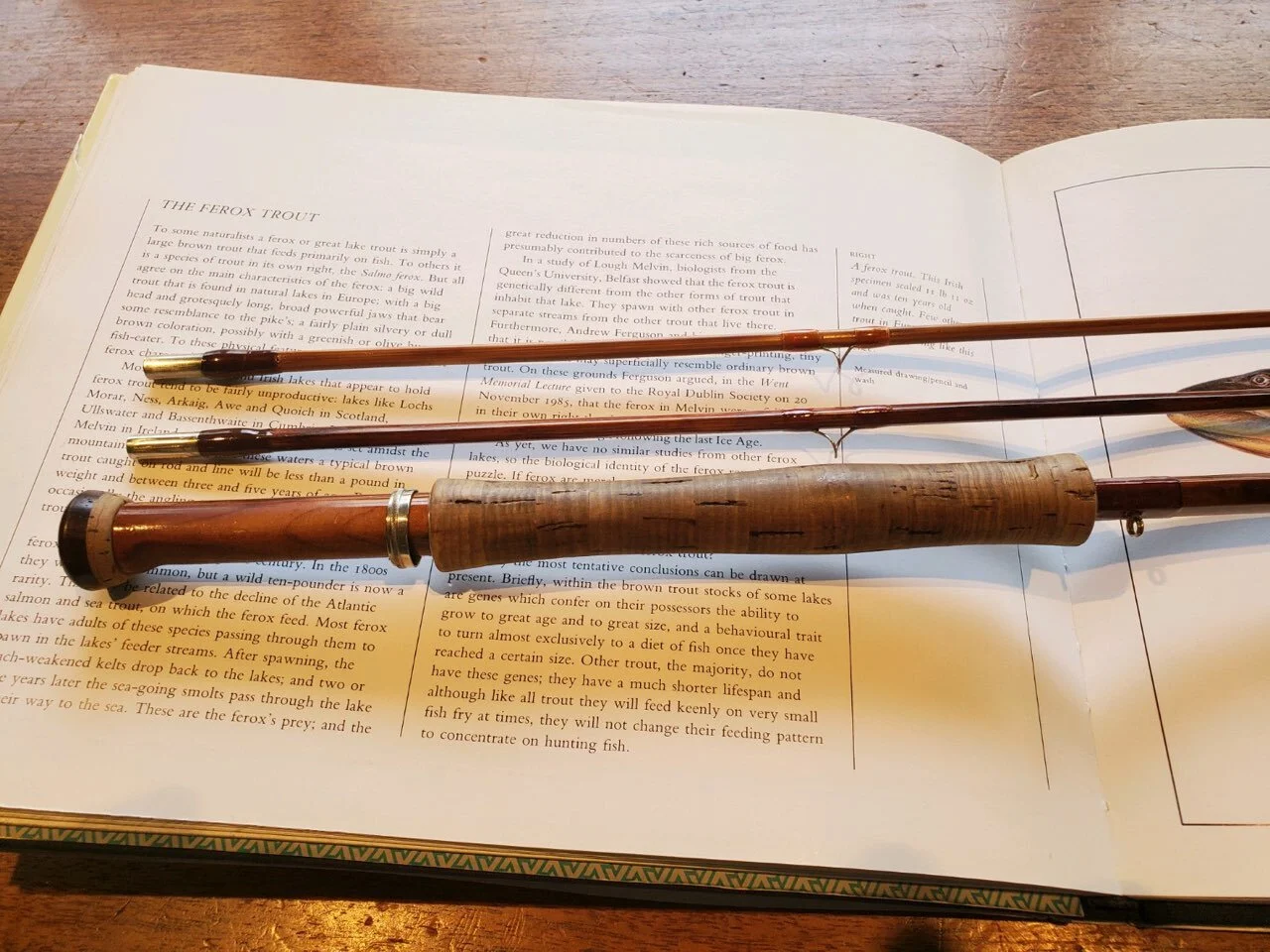 Used Rods For Sale — Redwing Bamboo Fly Rods