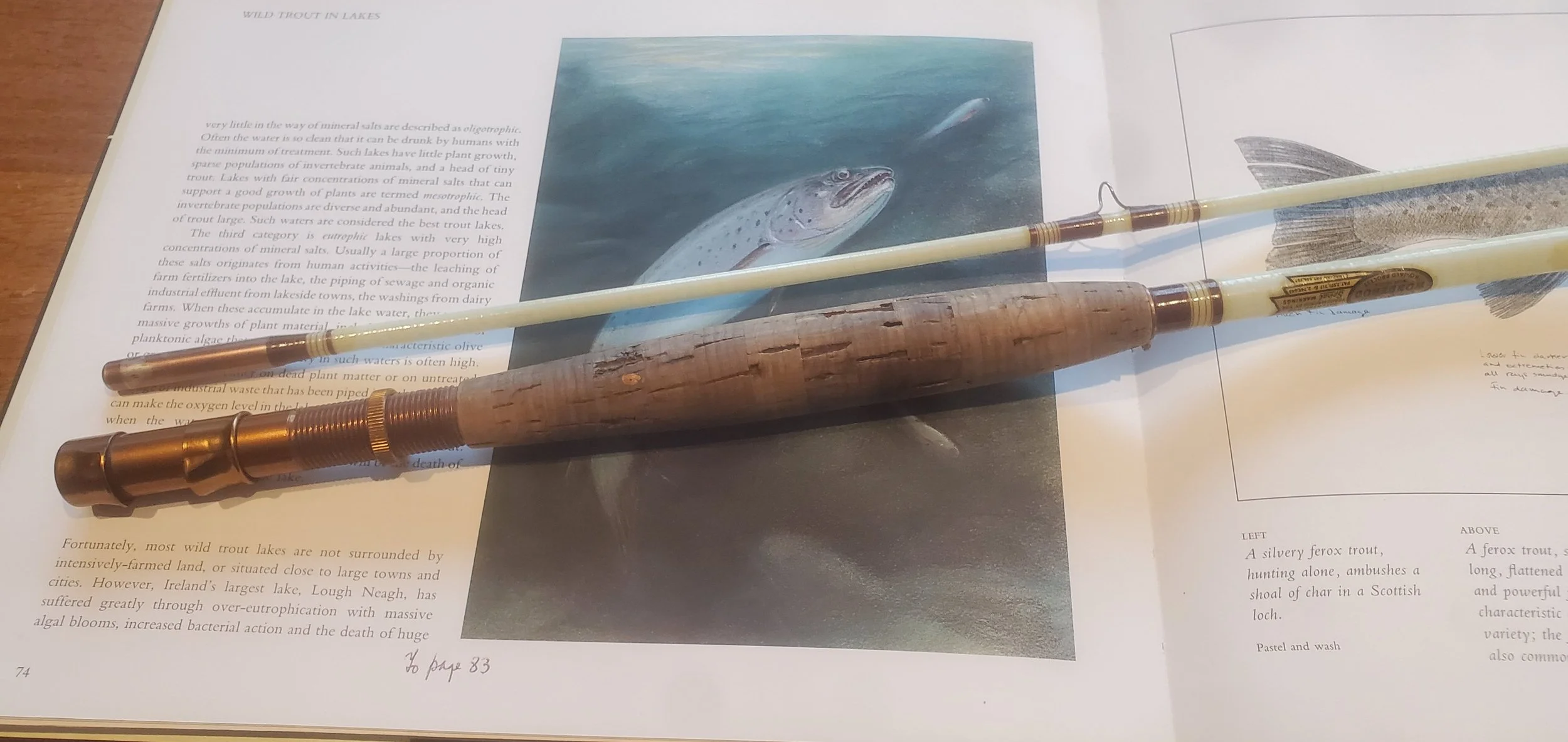 More Used Rods For Sale — Redwing Bamboo Fly Rods