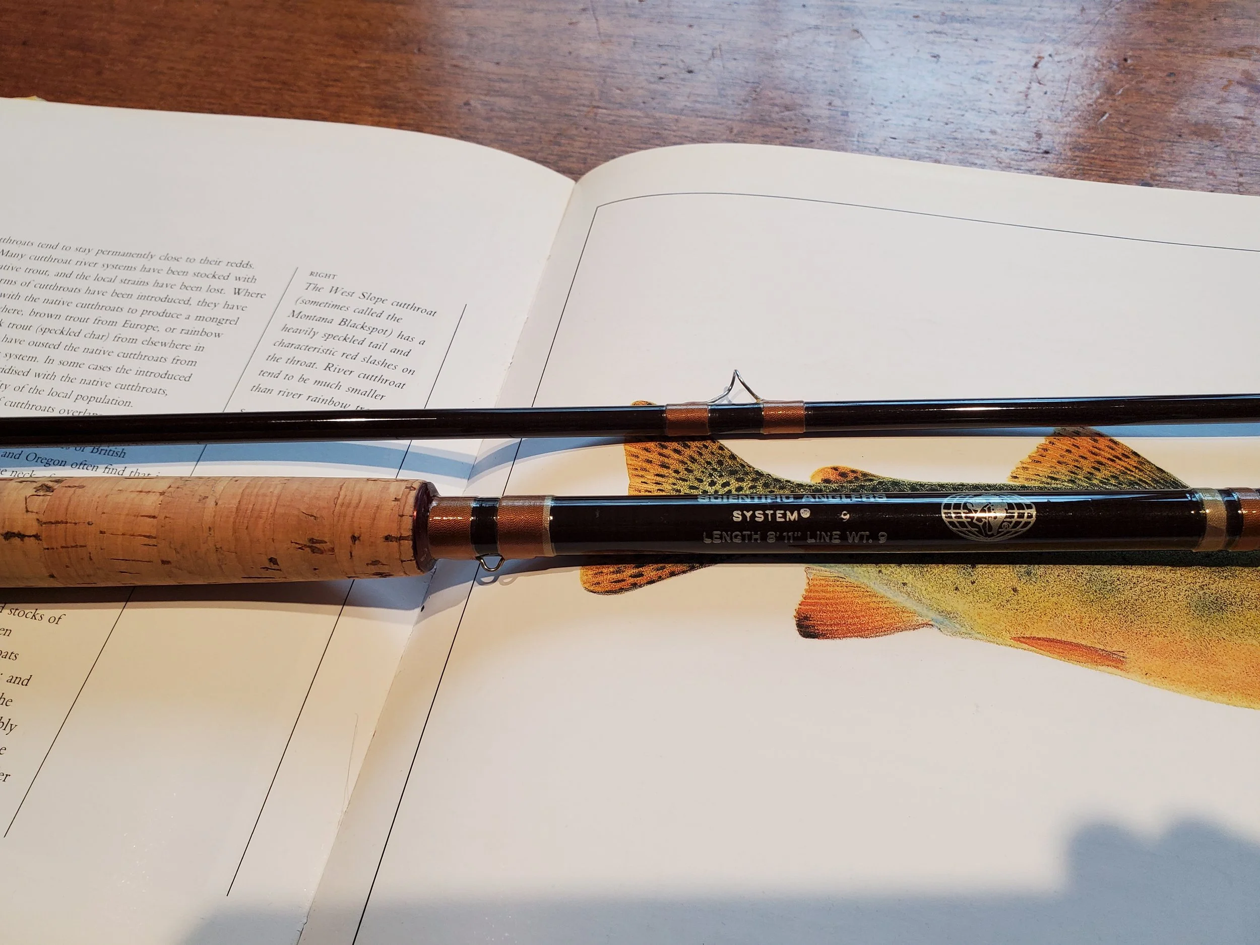 More Used Rods For Sale — Redwing Bamboo Fly Rods