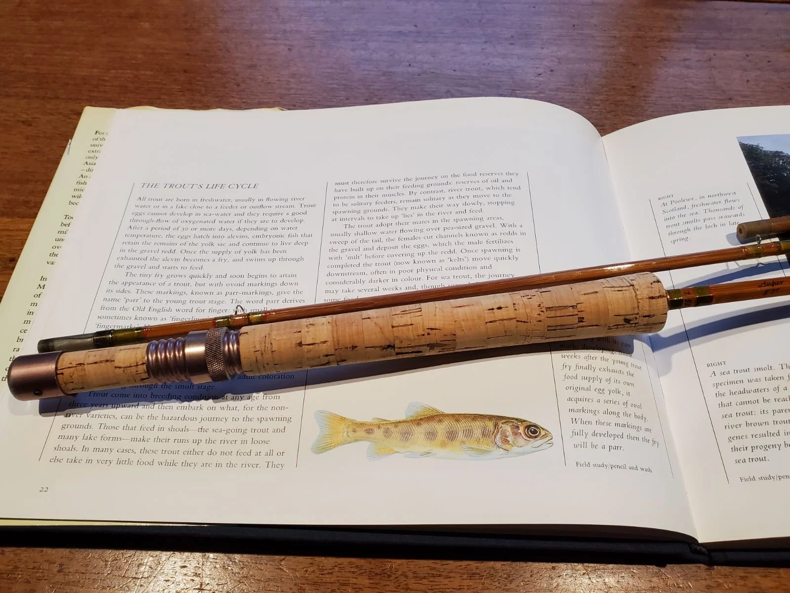 Used Rods For Sale — Redwing Bamboo Fly Rods