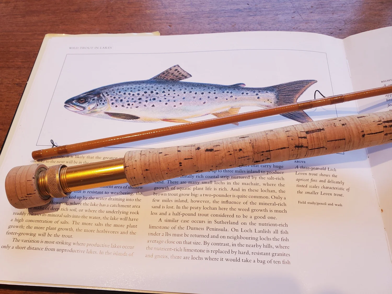 Used Rods For Sale — Redwing Bamboo Fly Rods