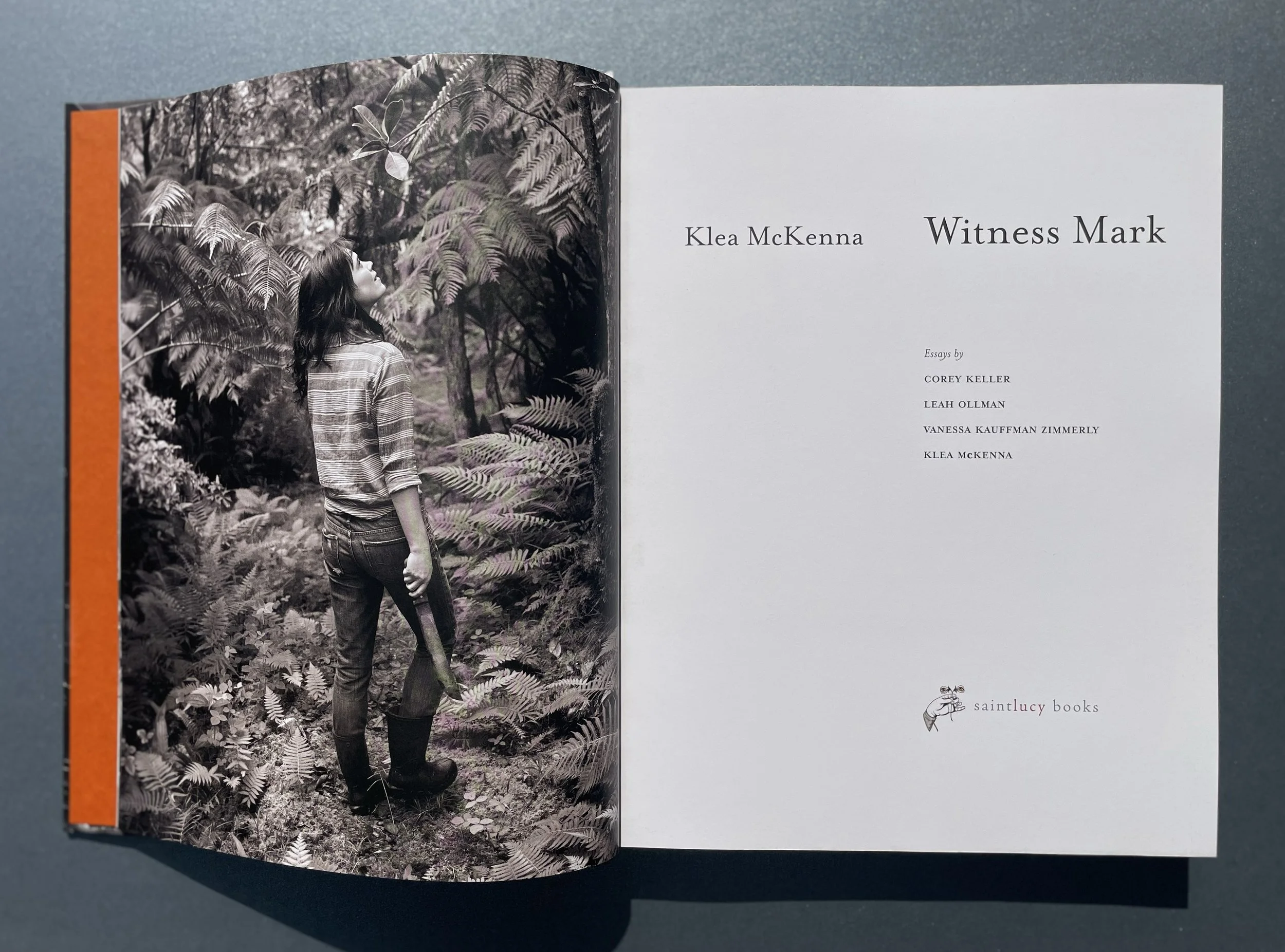 Klea McKenna : Witness Mark — Saint Lucy Books