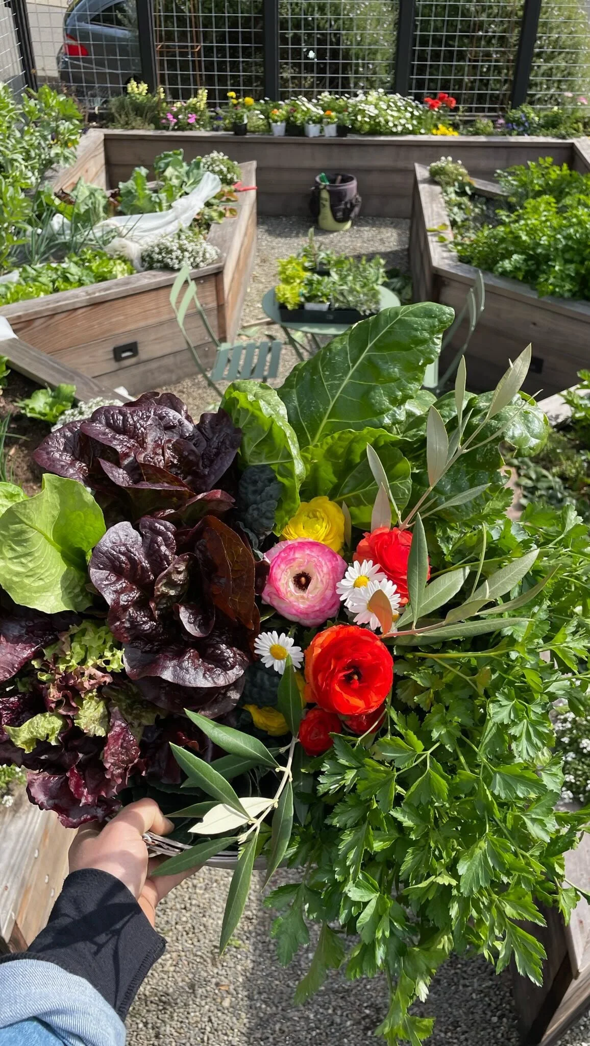 Shop - The Backyard Farm Company
