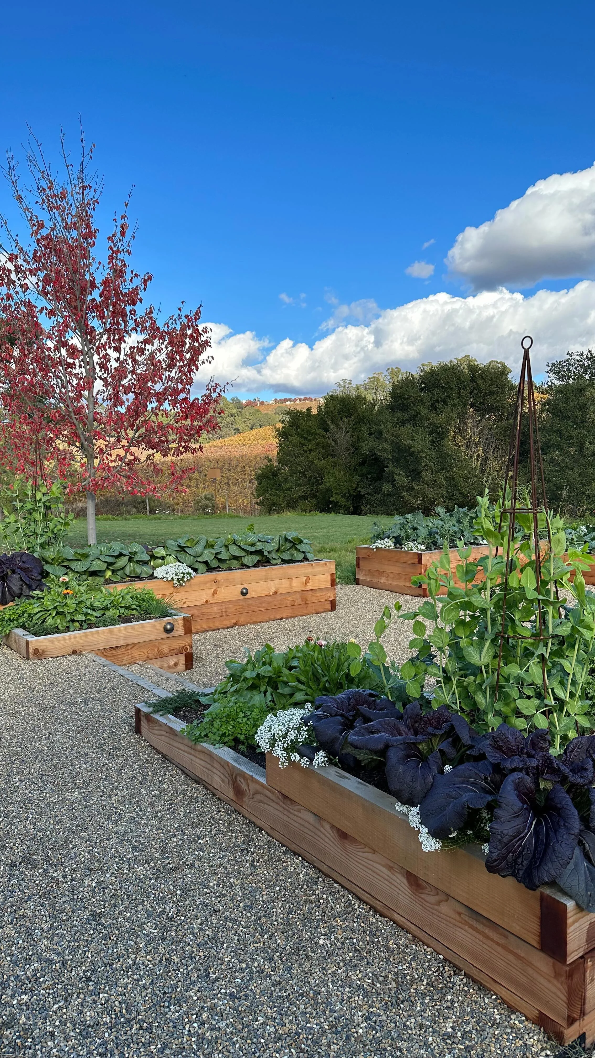 Planting Best Practices Leaflet - The Backyard Farm Company