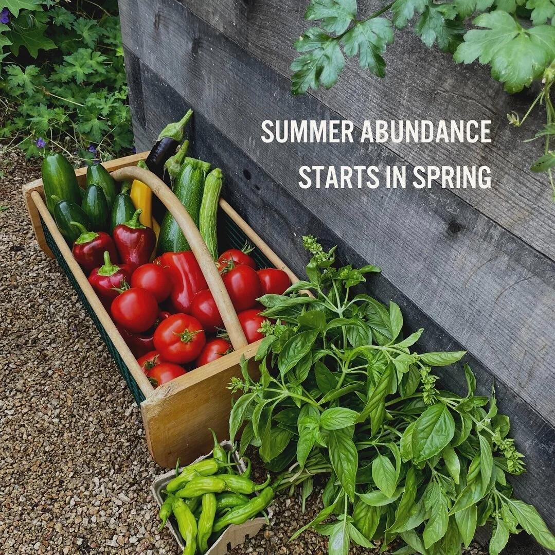 Planting Best Practices Leaflet - The Backyard Farm Company