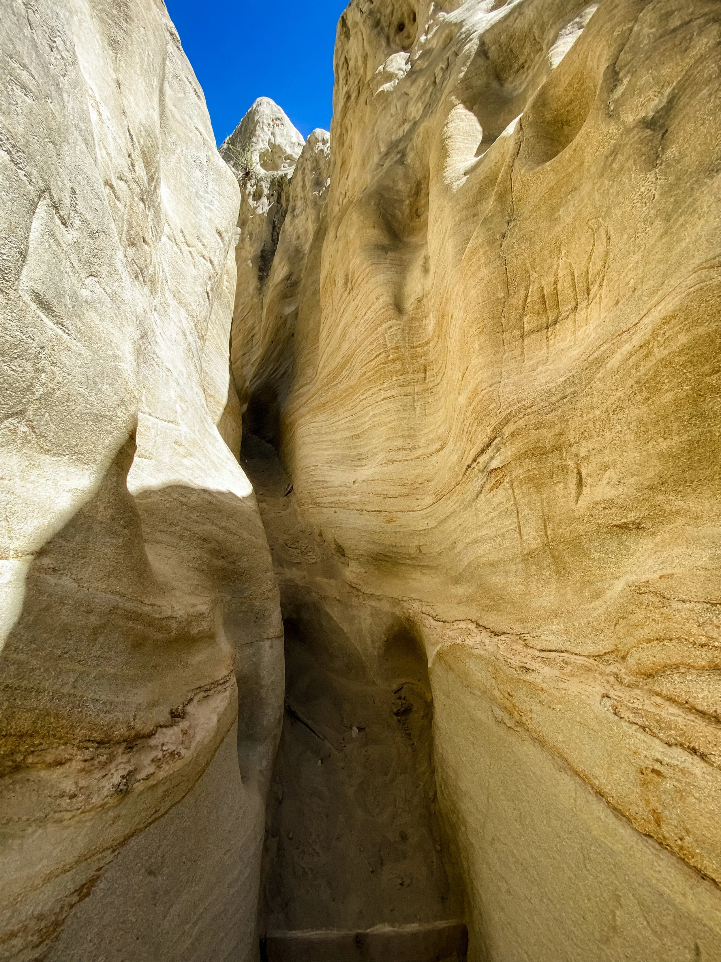 Annie’s Canyon Trail in Solana Beach, California — Road Jess Travels