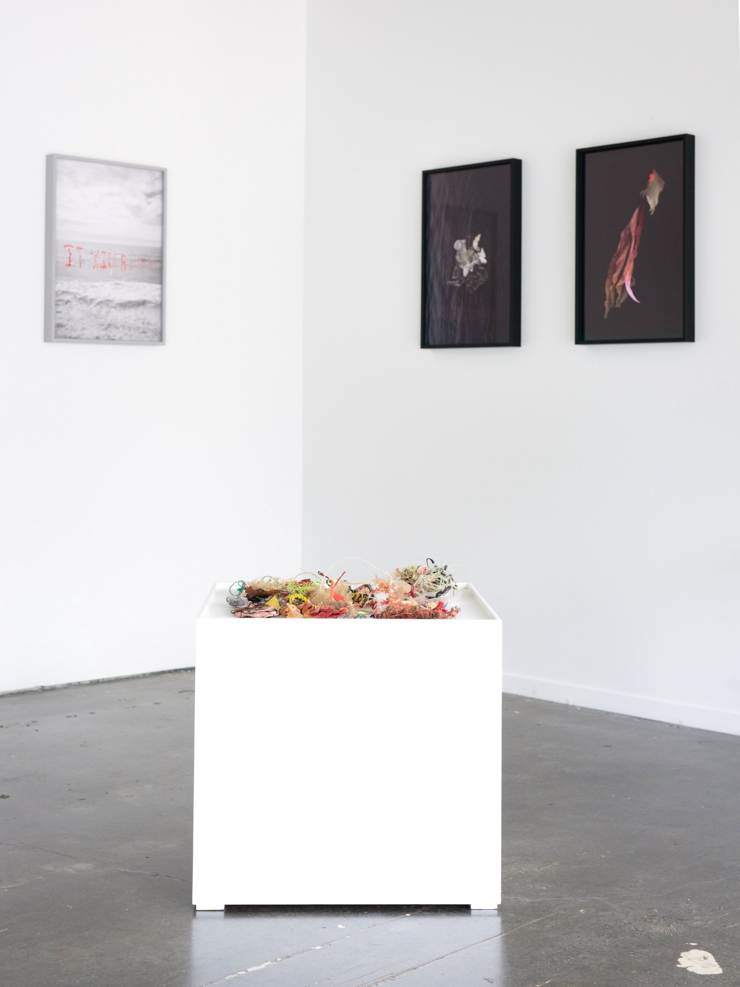 Susurrations — Twentysix Gallery