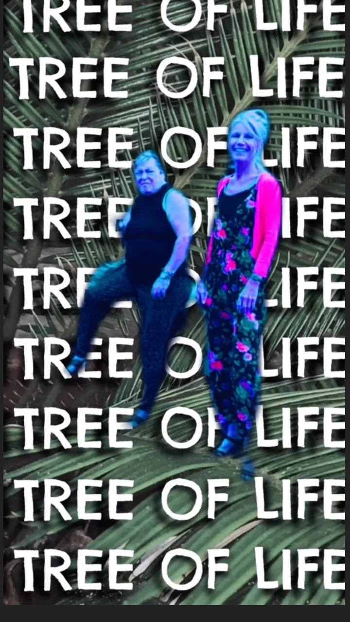 The Tree of Life Centre