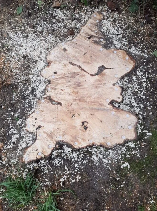 General 1 — Richard Elphee Garden Services