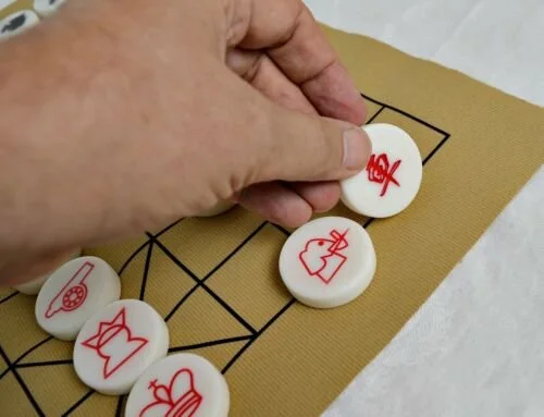 Shop the Best Chinese Chess Sets, Books and more — Xiangqi.com