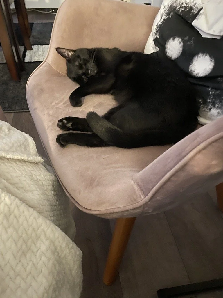 Permar Lab — Gallery 1