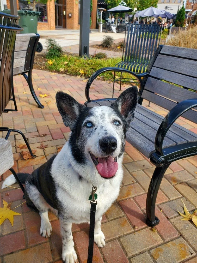 Permar Lab — Gallery 1