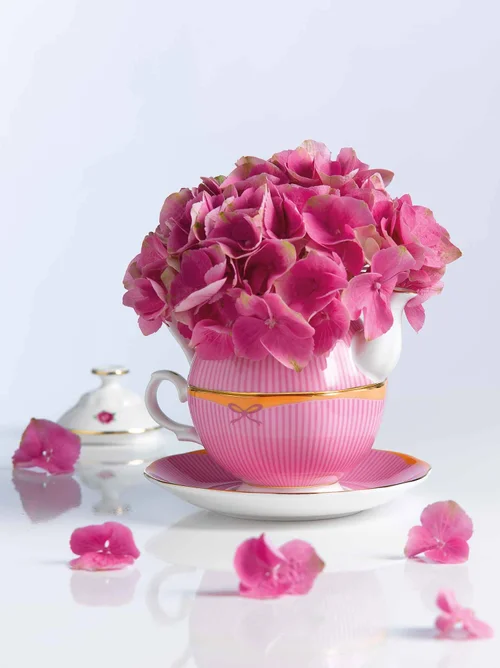 Candy — Angela Hull | Surface Pattern Design Consultant