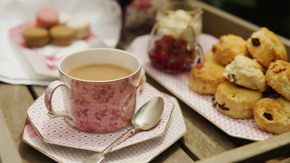 Tea Delight — Angela Hull | Surface Pattern Design Consultant
