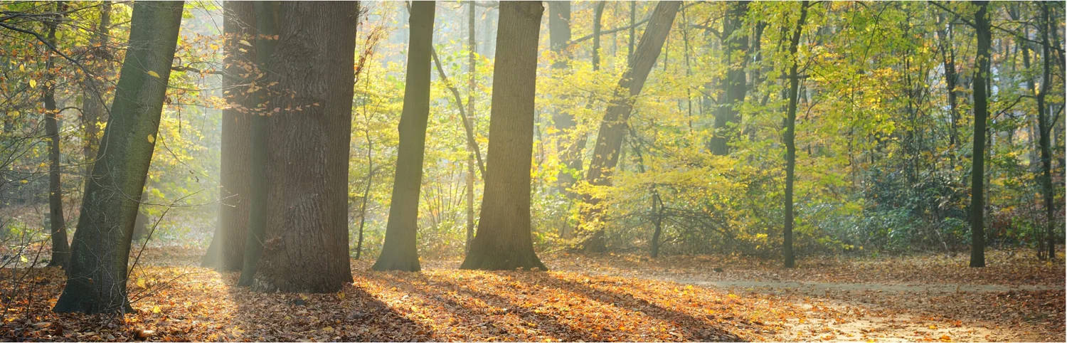 Parks & Trails — Visit New Kent
